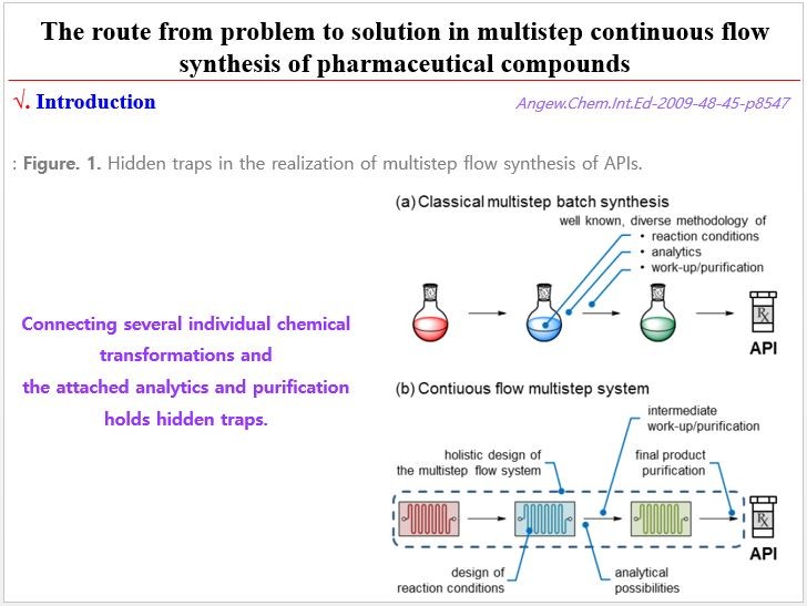 웰이앤씨 : The route from problem to solution in multistep continuous flow synthesis of ...